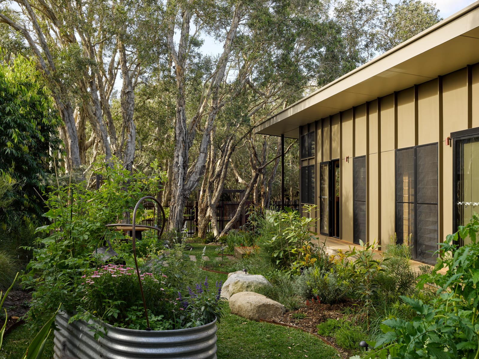 Paperbark Pod by Bark Design Architects