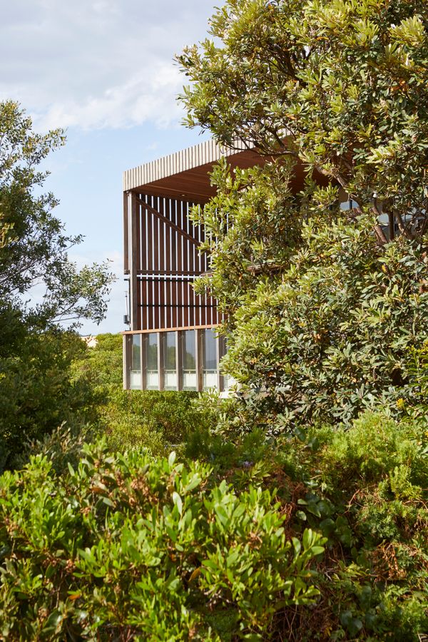 Long Reef SLSC by Adriano Pupilli Architects