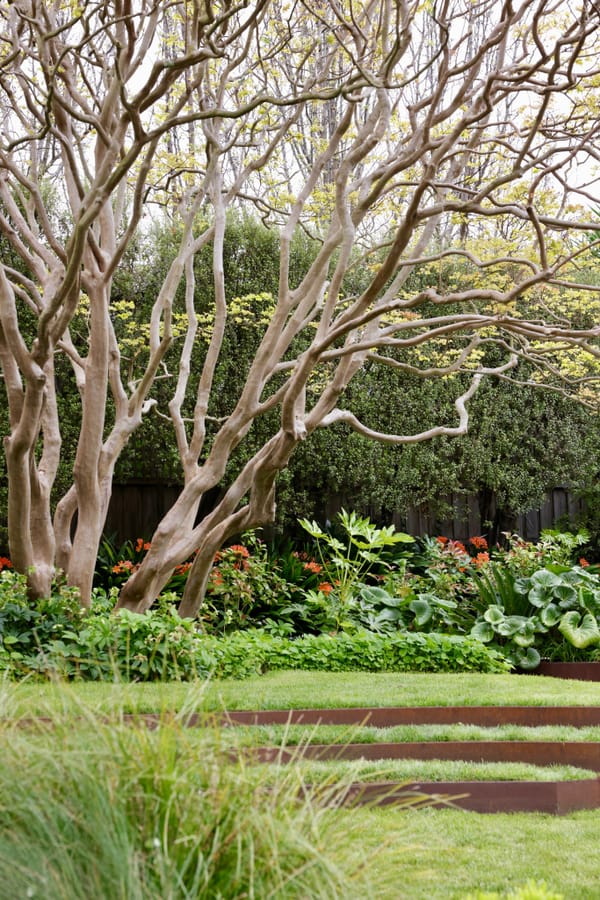 Glen Iris by Julie Crowe Landscape Design x Cosh Living